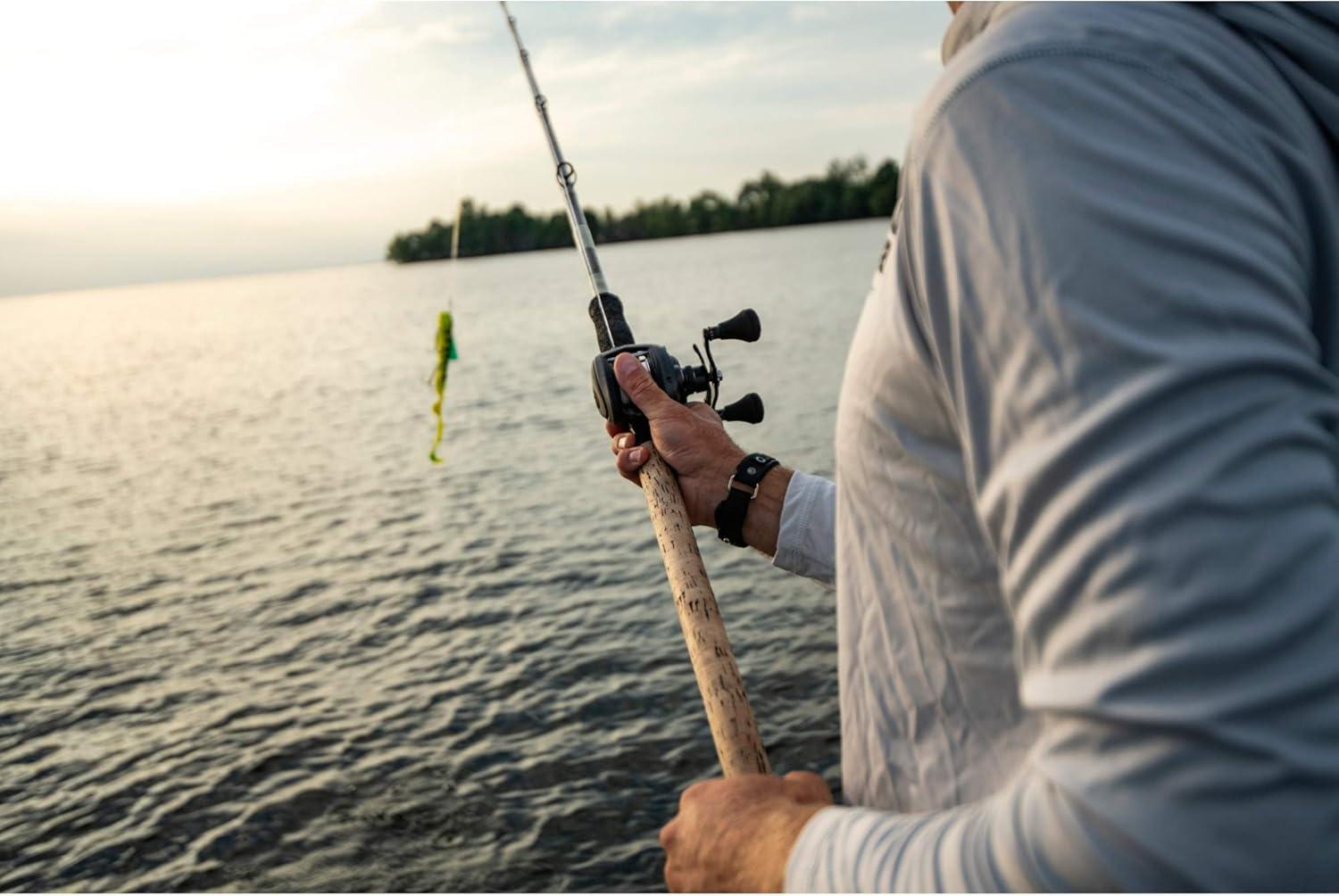 Abu Garcia Revo Toro Beast Baitcast Low Profile Fishing Reel (All ...